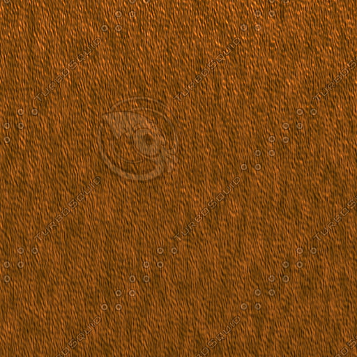 Texture JPEG fruit nature brown