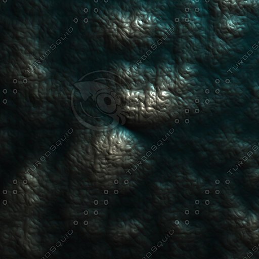 Texture JPEG nature shiny shell