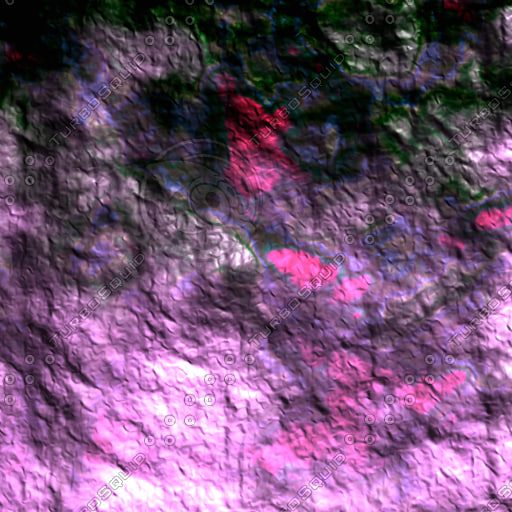 Texture JPEG nature bumpy bulbous