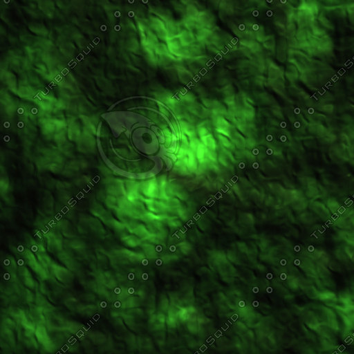 Texture JPEG nature green shell