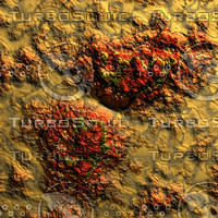 Texture JPEG nature bumpy spikey