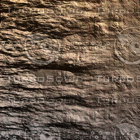 Texture JPEG nature bumpy spikey