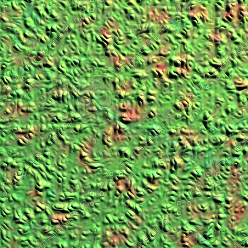 Texture JPEG nature bumpy waxy