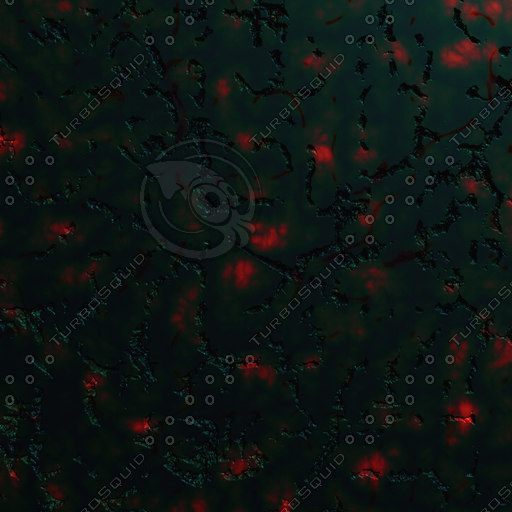 Texture JPEG dark green dented