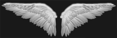 General Photoshop angel wings psd