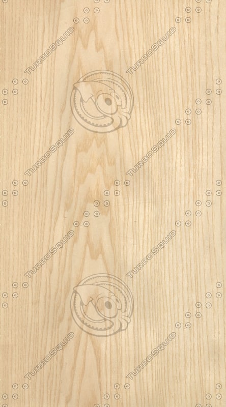 Texture JPEG ash wood ashtree