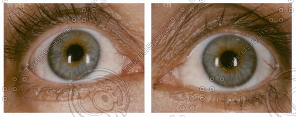Texture GIF eye eyes hazel