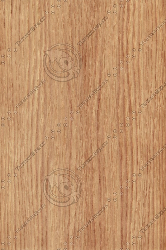 Texture JPEG oak wood tree