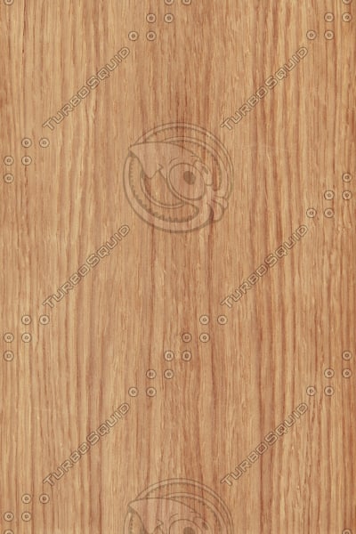 Texture JPEG oak wood tree