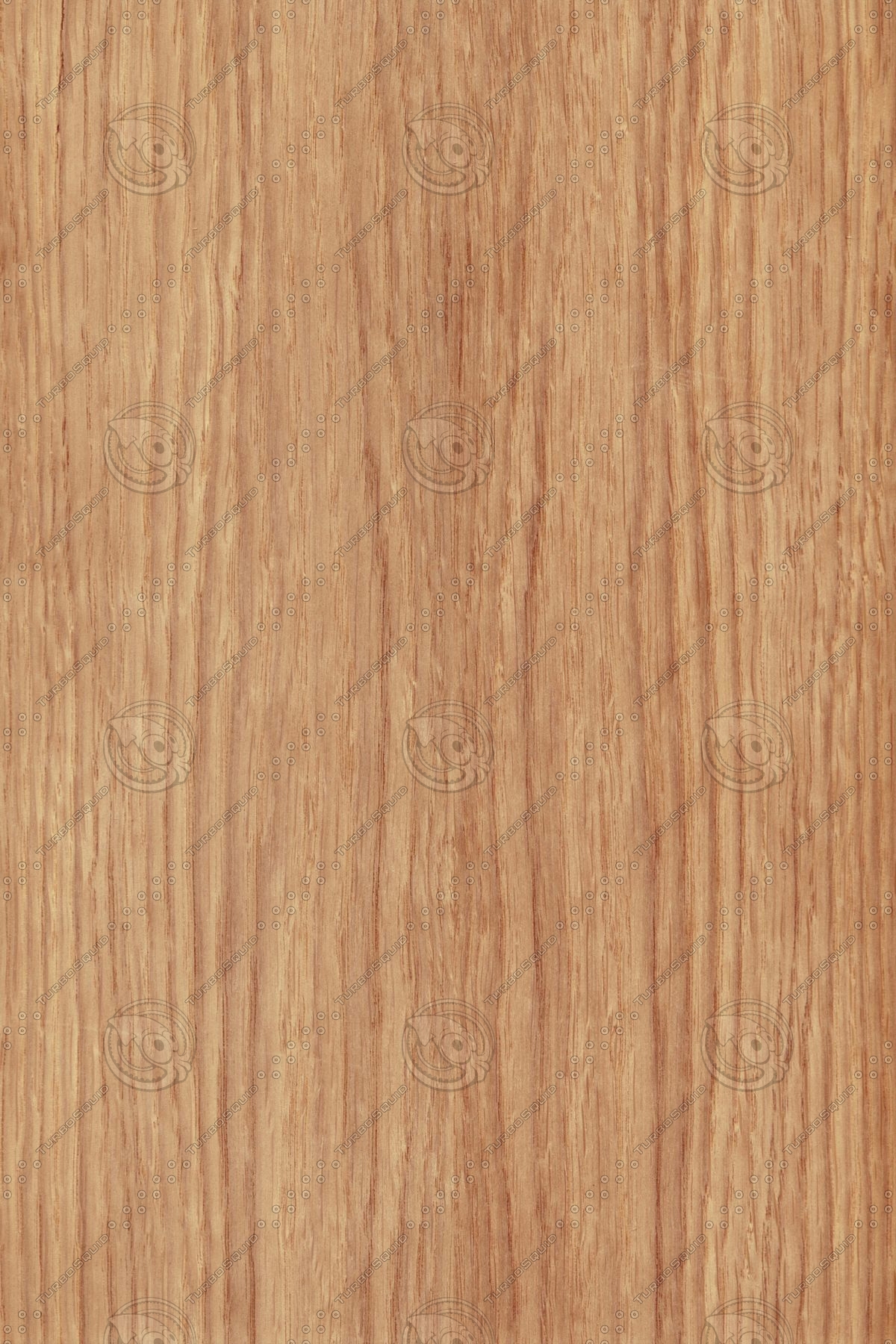 Texture JPEG oak wood tree