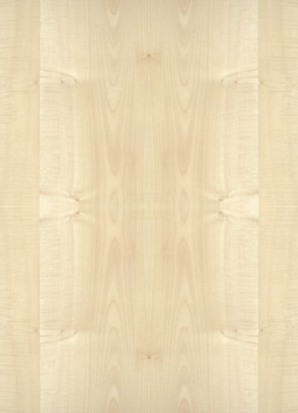 Texture Windows Bitmap leaf nature green