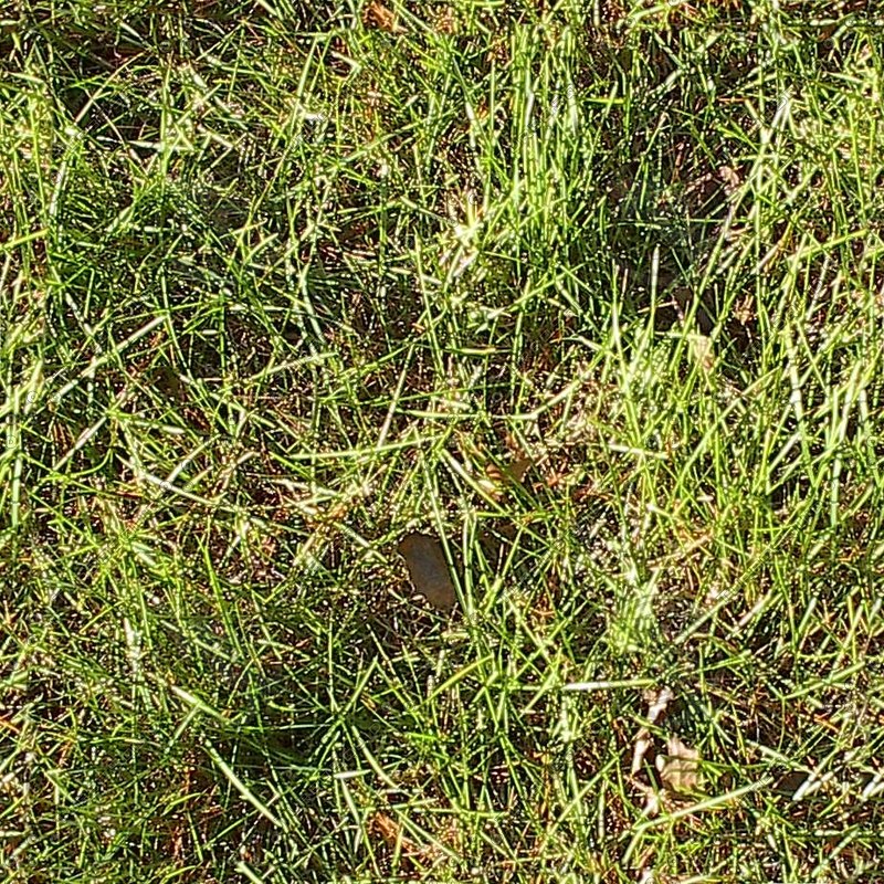 Texture JPEG ground cracked dirt