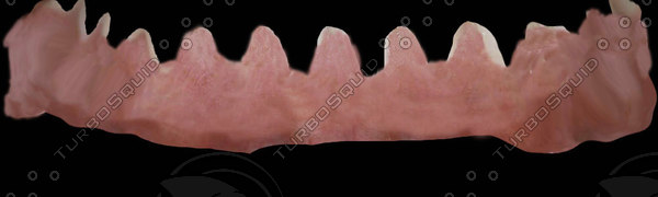 Texture JPEG gums teeth tooth