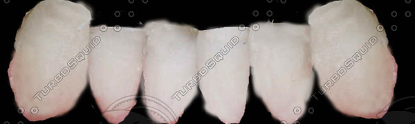 Texture JPEG teeth tooth dentures