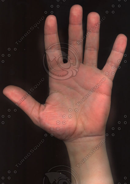 Texture JPEG hand human plam