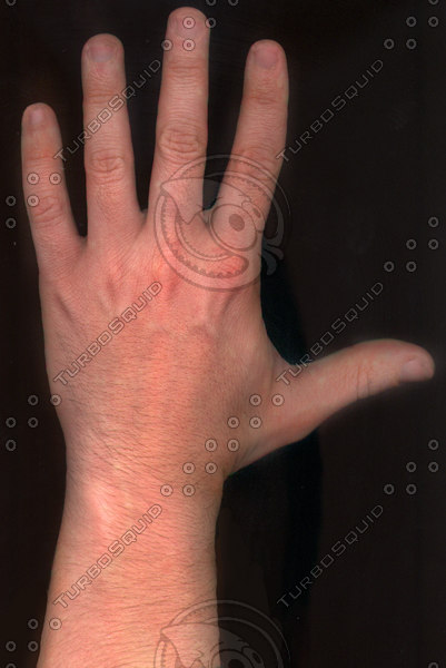 Texture JPEG hand human plam