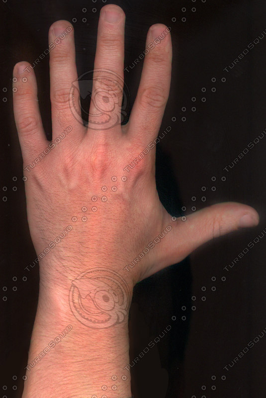 Texture JPEG hand human plam