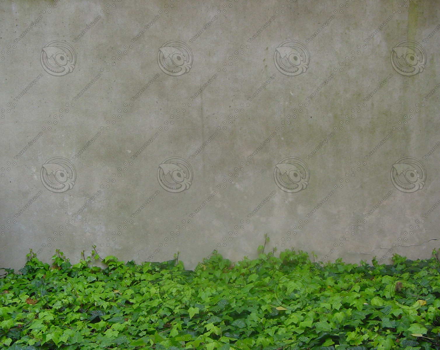 Texture JPEG mur murs wall