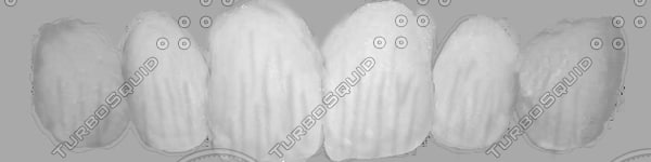 Texture JPEG teeth tooth dentures