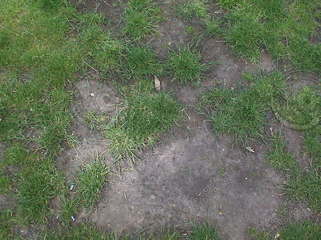 Texture JPEG ground floor grass