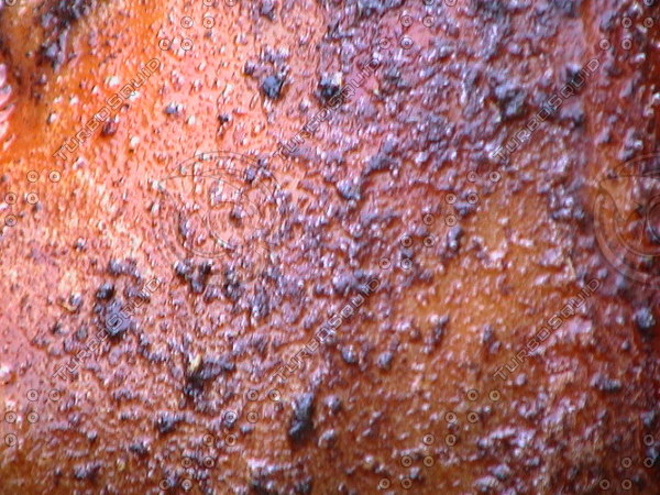 Texture JPEG alien skin burn