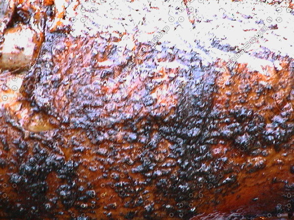 Texture JPEG alien skin burn