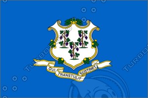 Texture GIF connecticut national banner