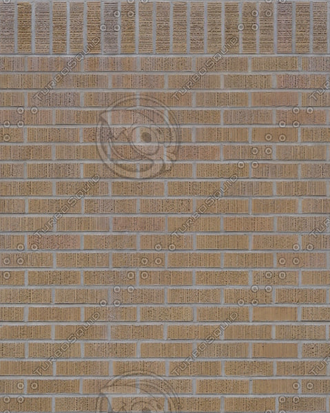 Texture JPEG bricks bricktex masonry