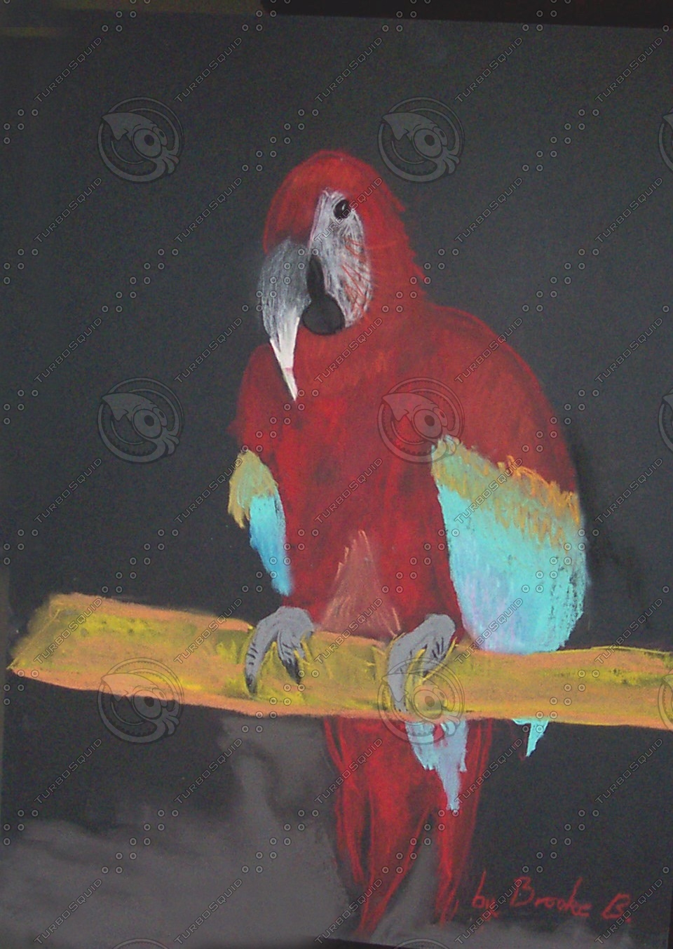 General JPEG parrot bird painting