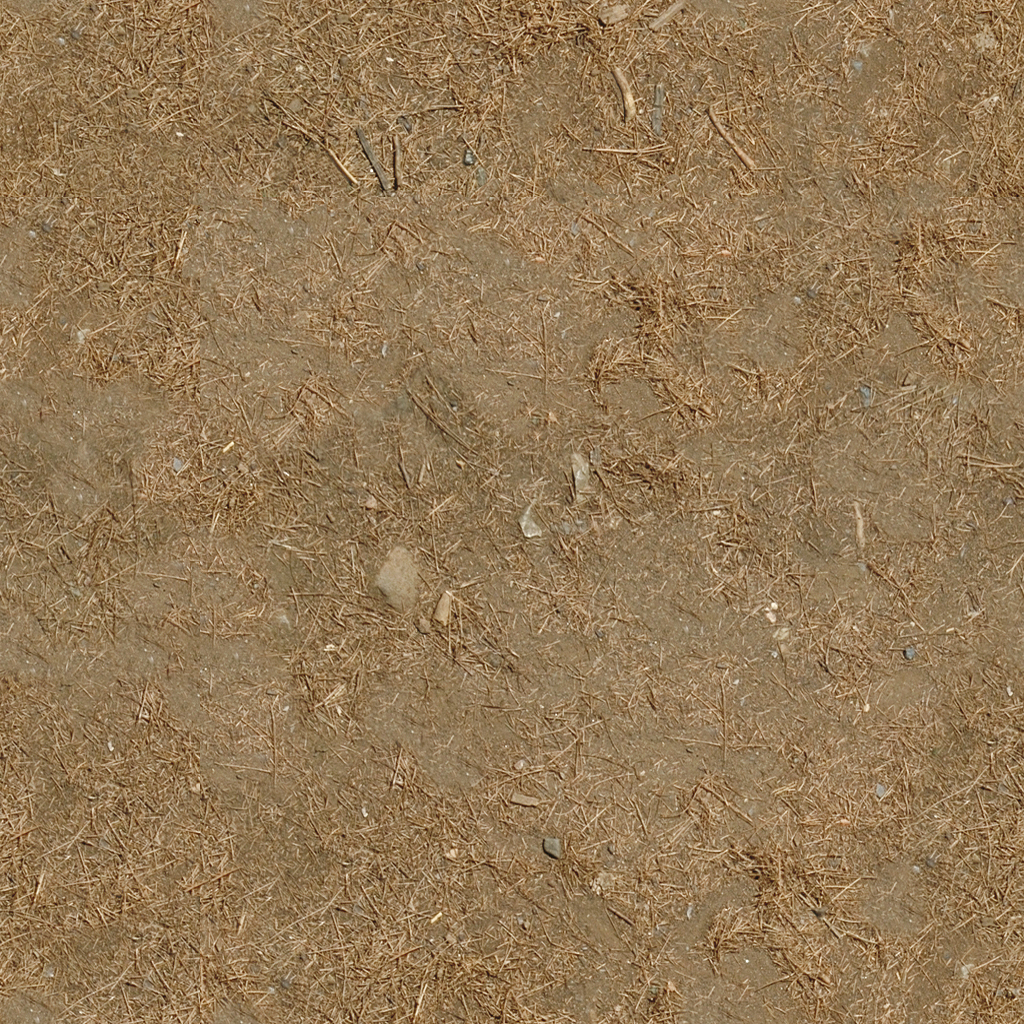 Texture JPEG dirt dry needles