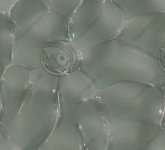 Texture JPEG glass glasstex building