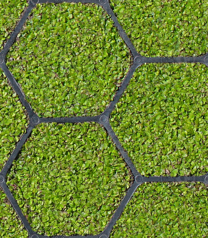Texture JPEG ground organictex green