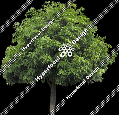 Texture JPEG HFD tree alpha