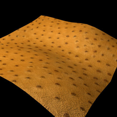 Texture JPEG ostrich leather skin
