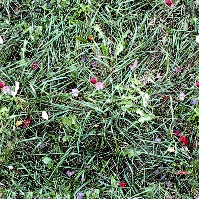 Texture JPEG light grass green