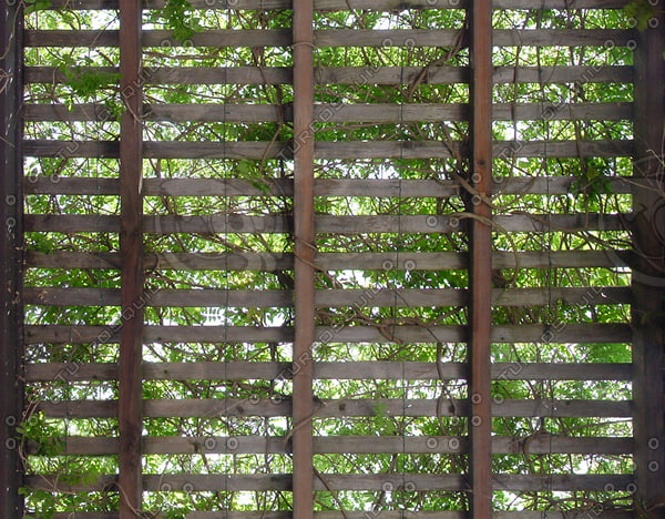 Texture JPEG trellis organictex overhead
