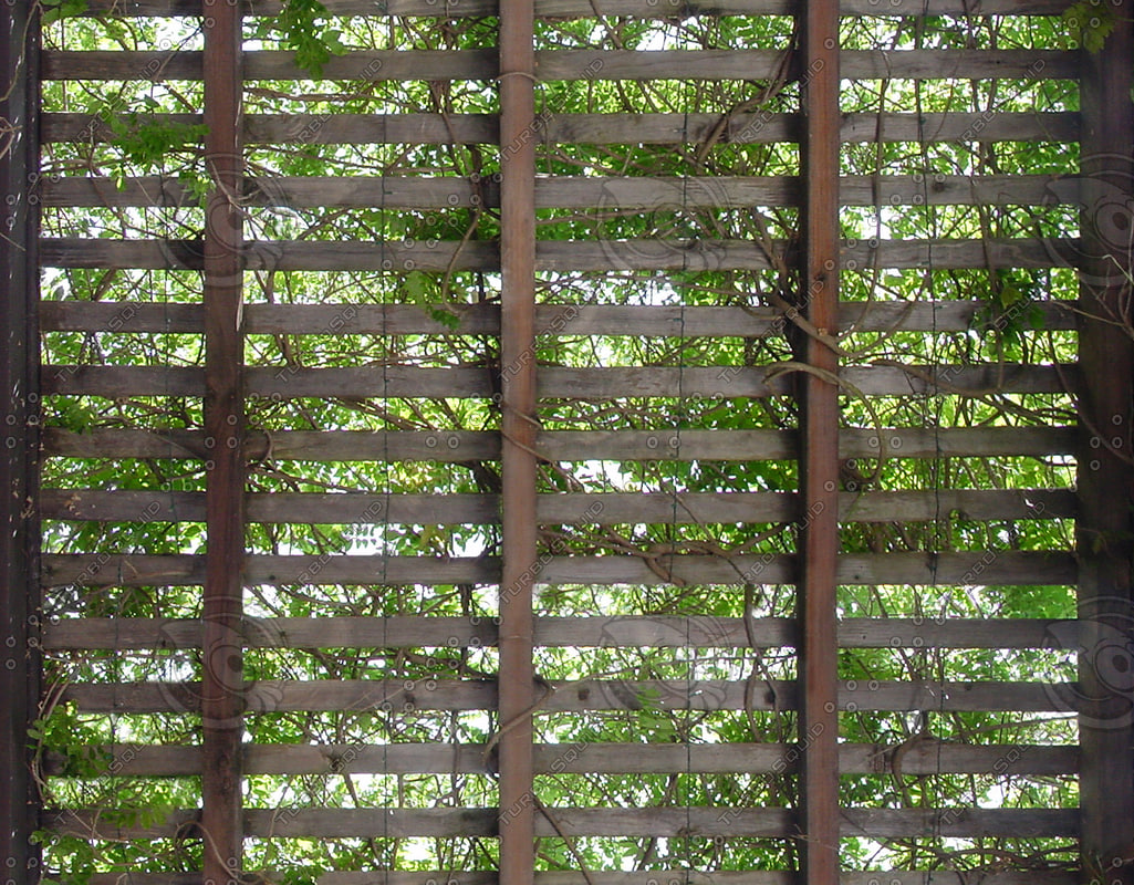 Texture JPEG trellis organictex overhead