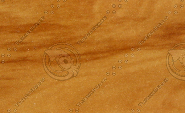 Texture JPEG Wood Tree