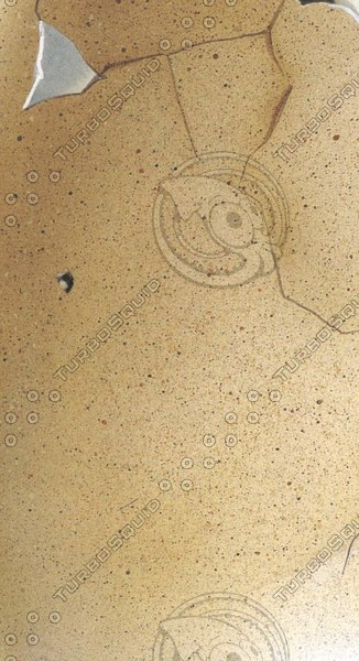 Texture JPEG egg shell details