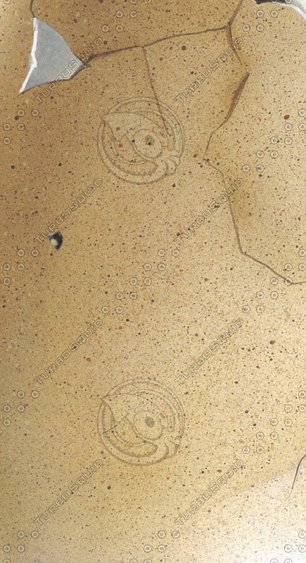 Texture JPEG egg shell details