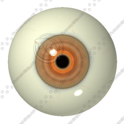 Texture JPEG eye people human