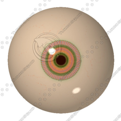 Texture JPEG eye people human