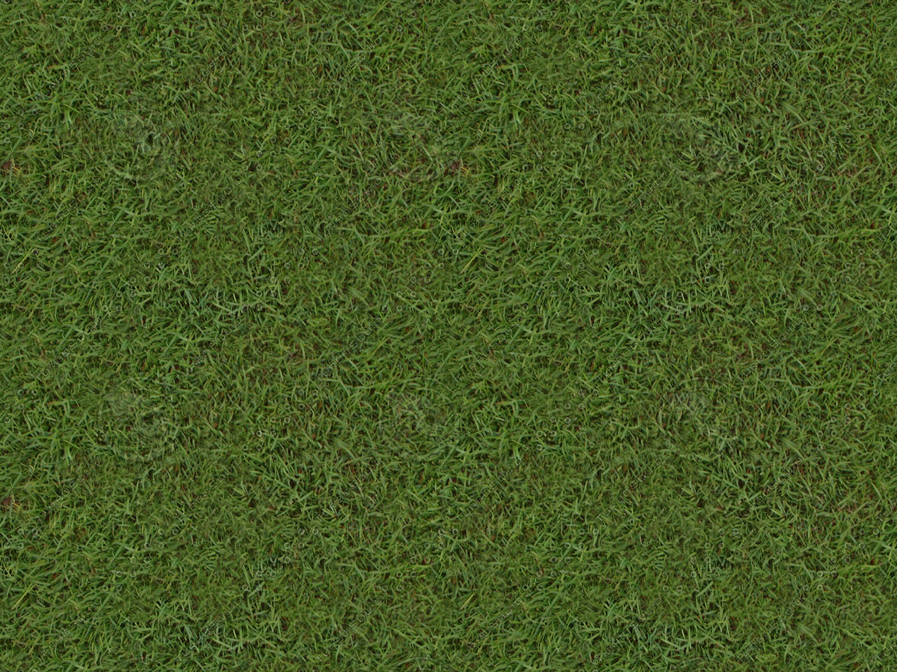Texture JPEG grass ground landscape