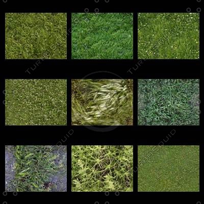 Texture JPEG grass grass ground