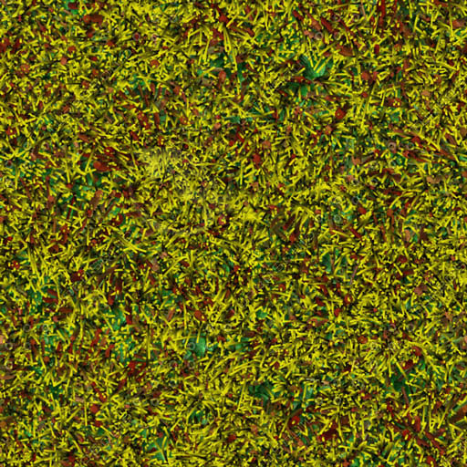 Texture JPEG bloom detailed large