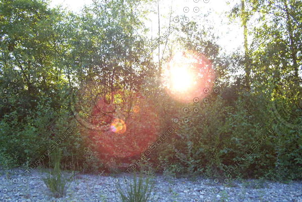 Stock JPEG Sun through the