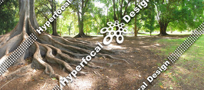 Stock JPEG hfd trees tree