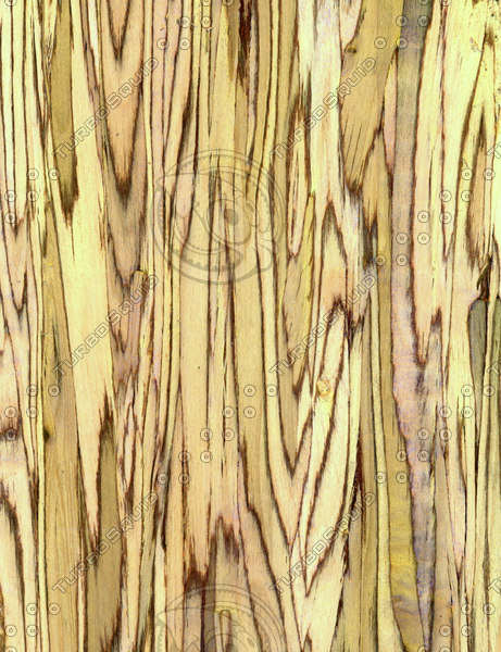 Texture JPEG Paralam Parallam engineered