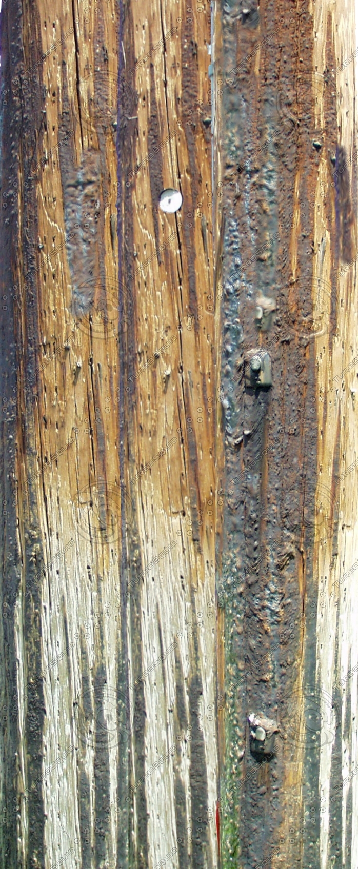 Texture JPEG telephone pole wood