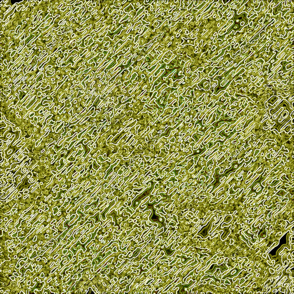 Texture JPEG Bug Bug skin